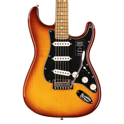 Ernie Williamson Music - Fender Player Stratocaster Plus Top, Pau Ferro ...